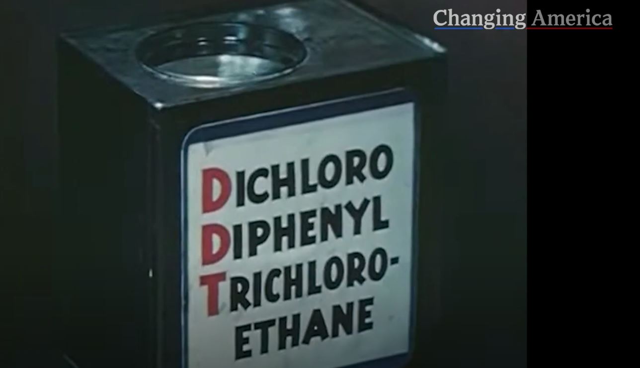 DDT’s Toxic Legacy Can Harm Granddaughters of Women Exposed, Study ...