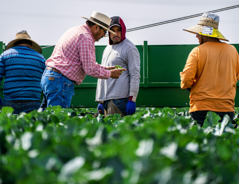 Farmworkers Feed the Nation and Risk Their Lives: The Deadly Impacts of ...